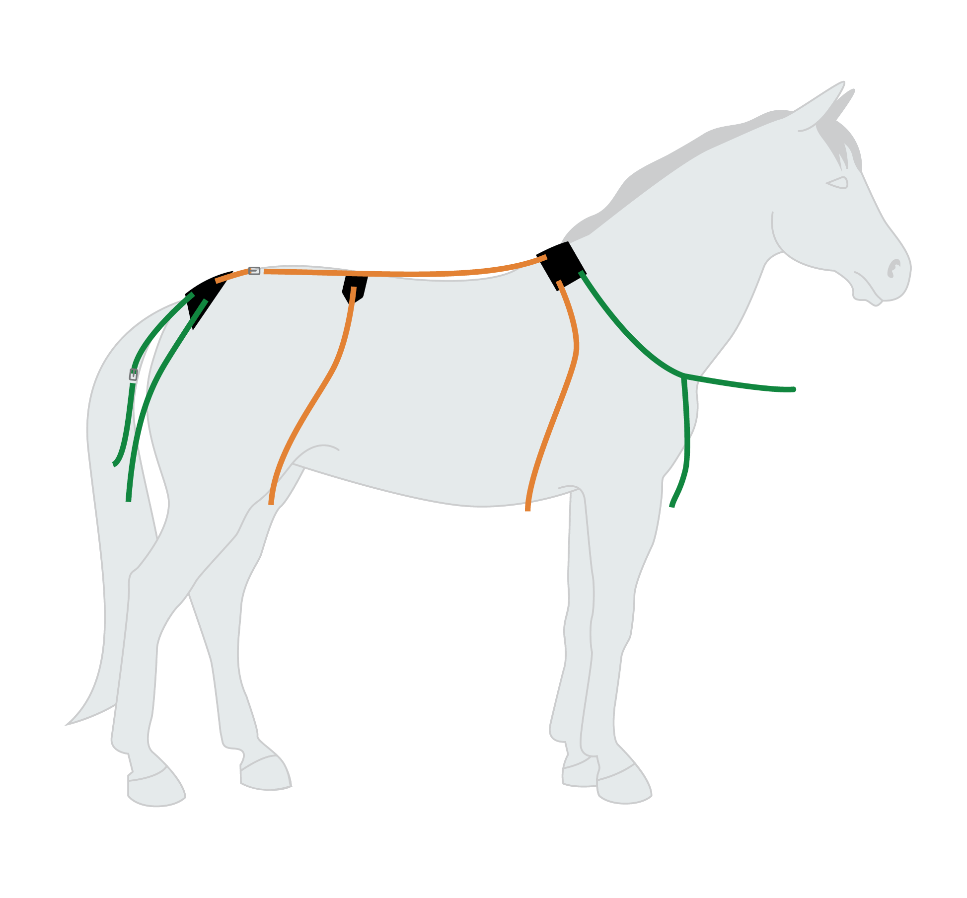 Andadura Harness - ANDADURA AND MORE, LLC